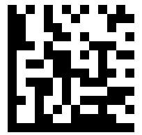 Dwuwymiarowe kody kreskowe 2D – specjalistyczne rozwiązania PWSK